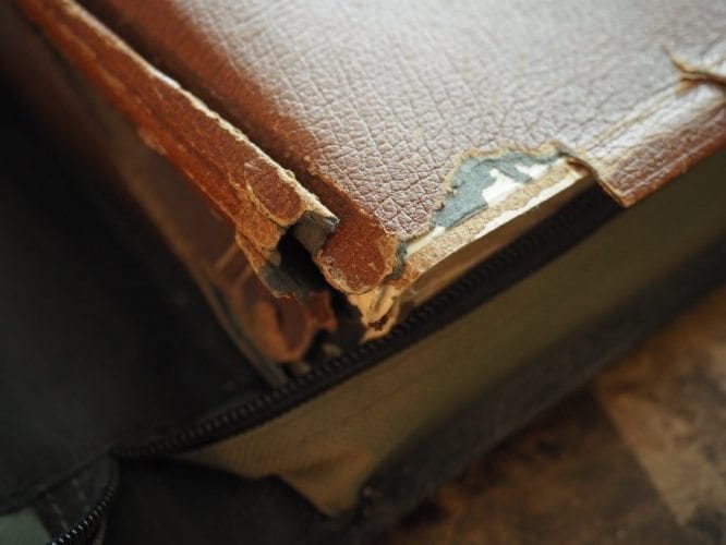 Leather 101: The Different Types of Leather - BestLeather.org