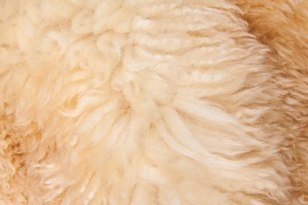 What Is Sheepskin Leather? - BestLeather.org