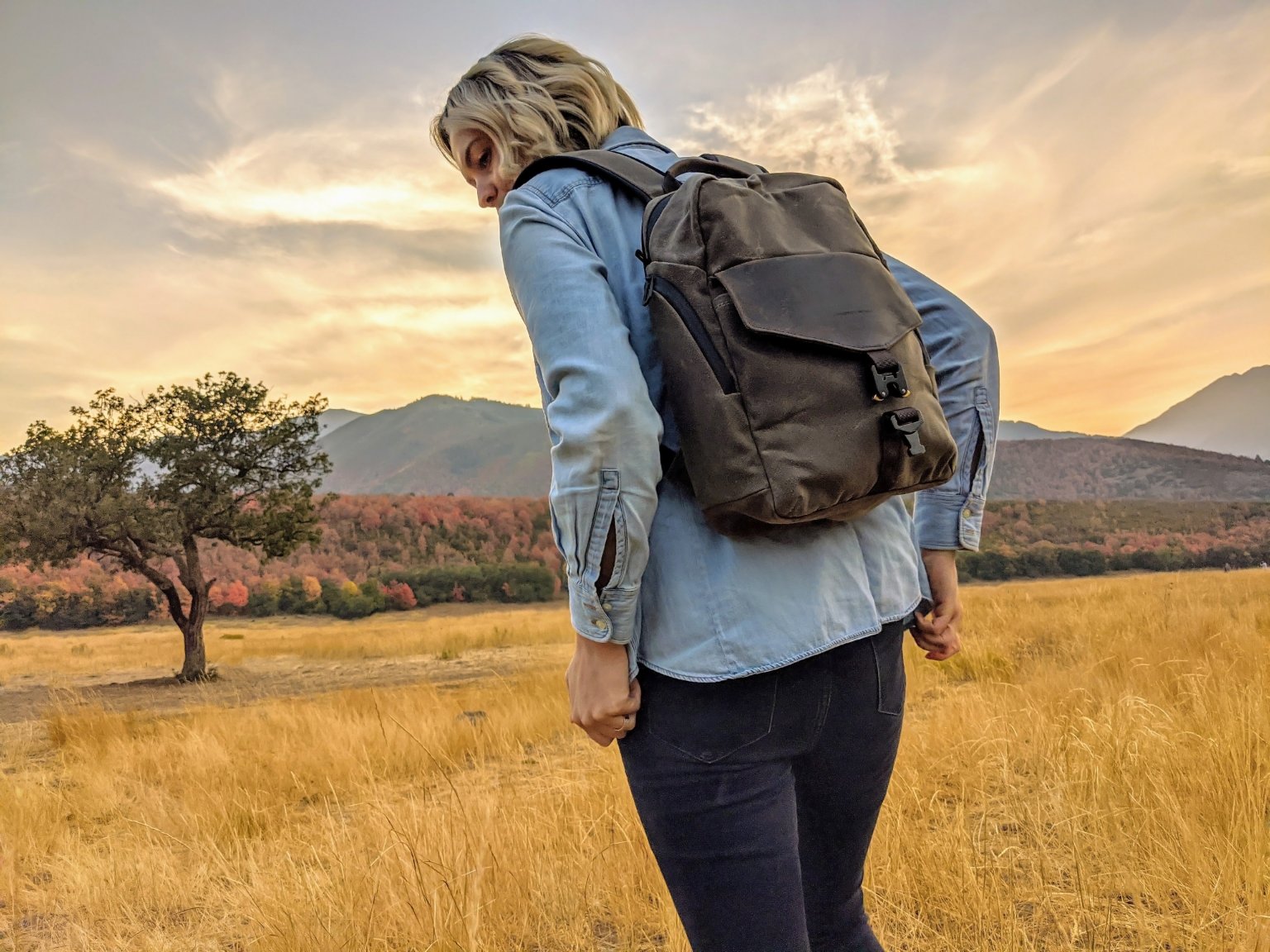 Waterfield FIELD Leather Backpack Review — $249 - BestLeather.org